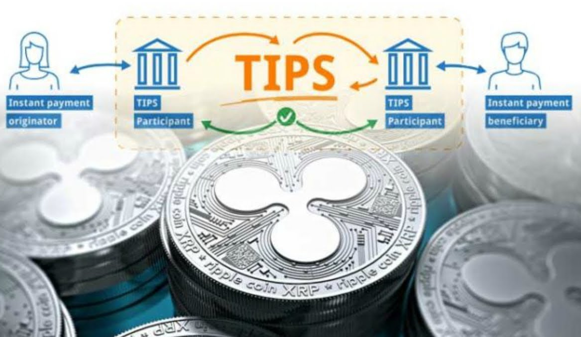Instantné platby - Čo je TARGET Instant Payment Settlement (TIPS)?